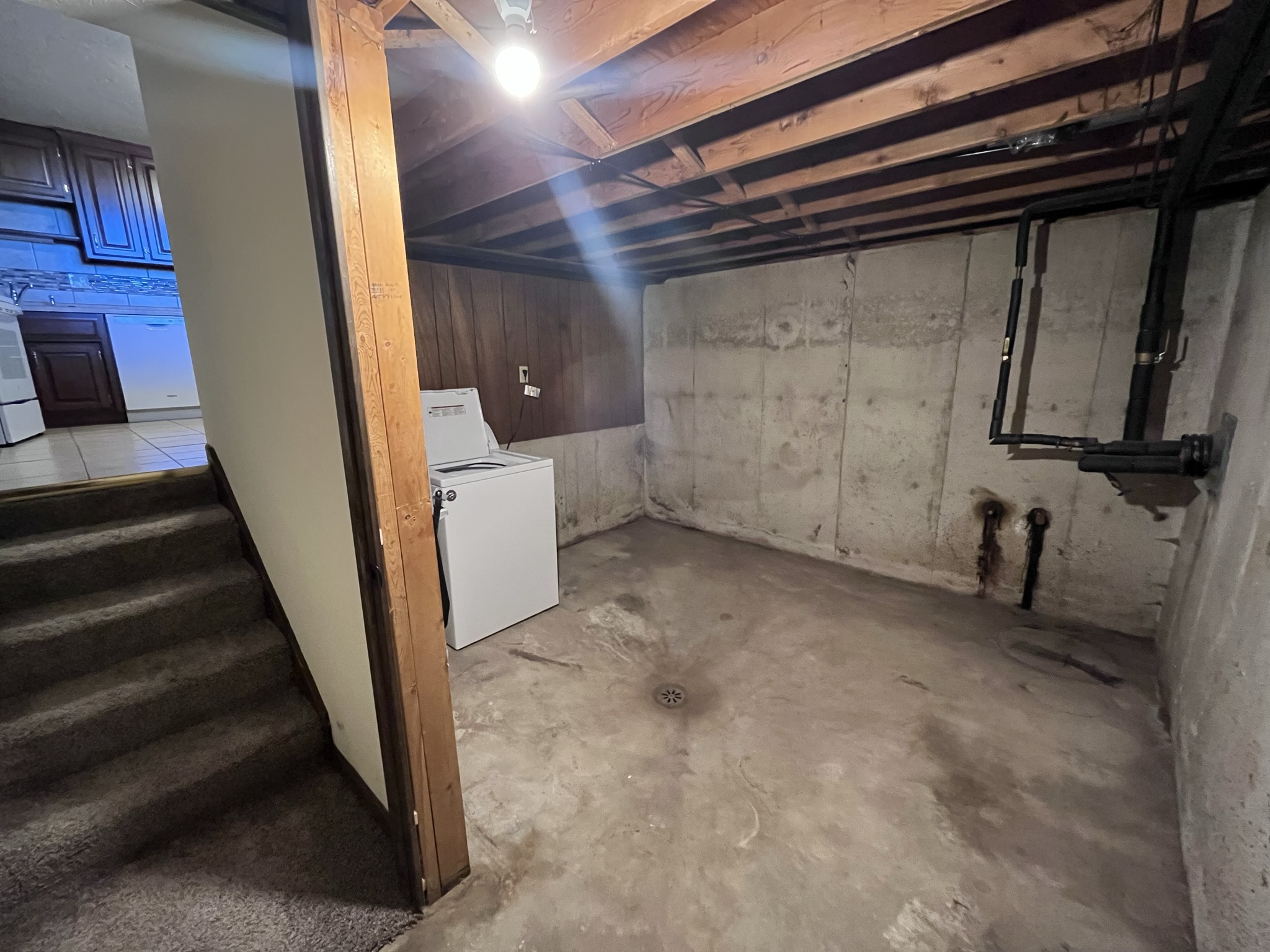 Apartments | Blue Frog Property Management